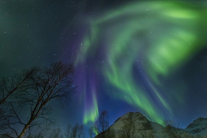 Northern Lights Chase by Bus in Tromso - Participant Capacity and Accessibility