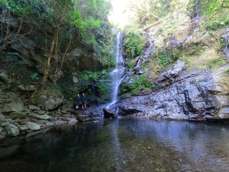 Okinawa: Jungle River Trek: Private Tour in Yanbaru - Inclusions
