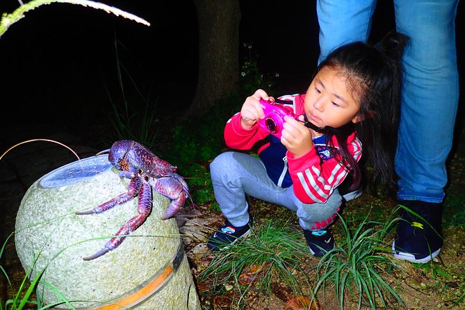 Okinawa Miyako Star Gazing and Subtropical Jungle Night Tour - Taking in the Subtropical Ambiance