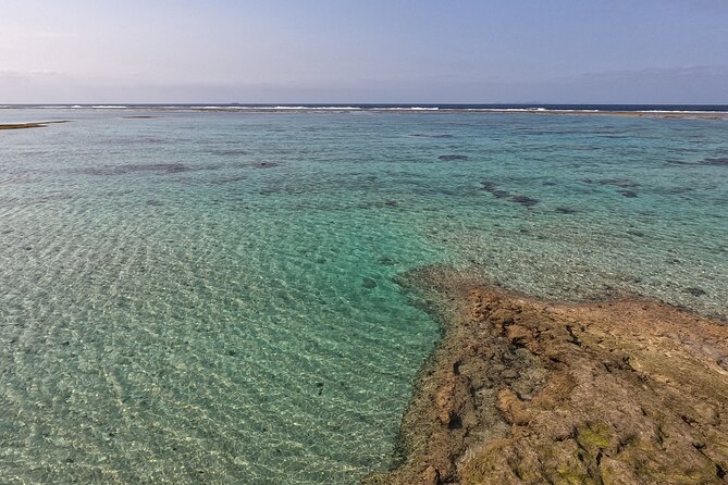 Okinawas Gorgeous Beach & Snorkel Tour: Private & Customised - Customer Experience and Feedback