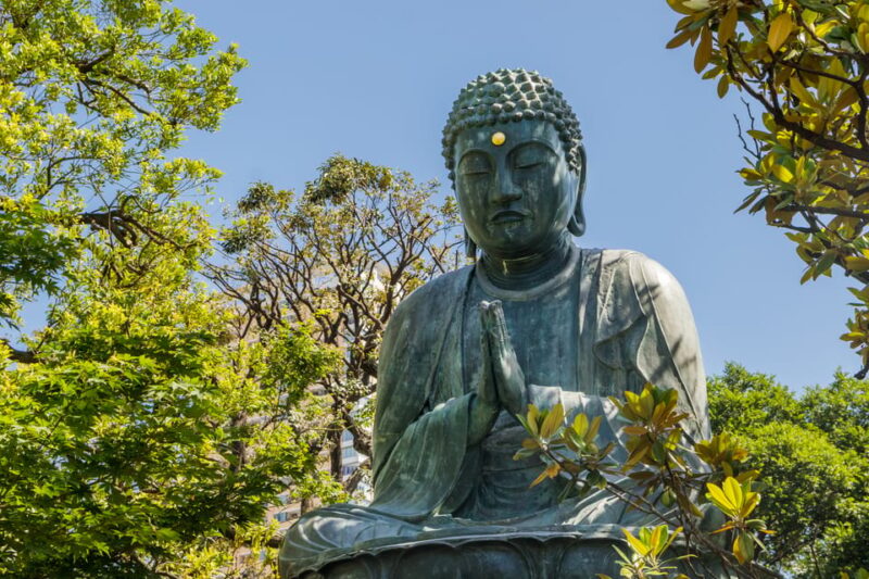 Old and Nostalgic Tokyo: Half-Day Yanaka Walking Tour - Experiencing Local Flavors and Delights