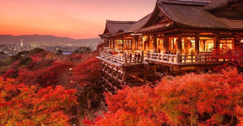 One Day Private Customized Self-Guided Tour in Kyoto - Inclusions and Additional Fees