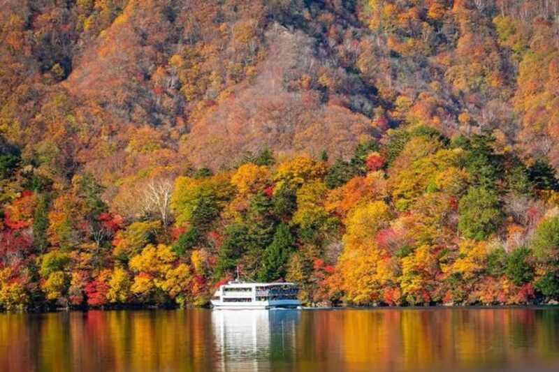 One Day Private Tour Nikko Tochigi by Car With Guide - Inclusions and Exclusions