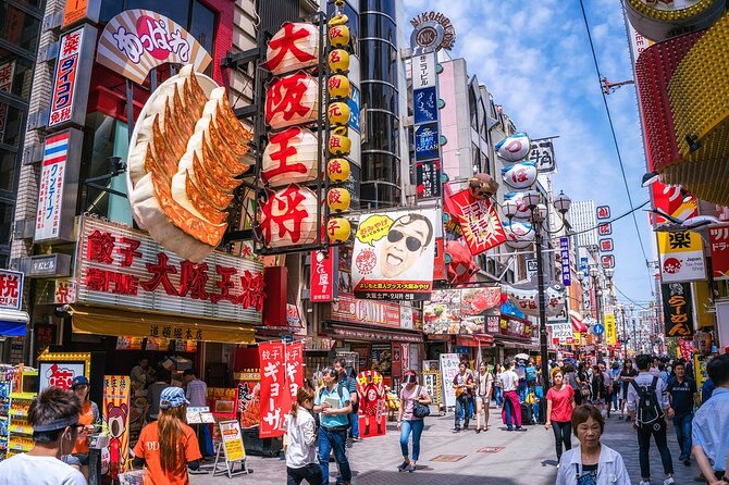 Osaka 6 Hr Private Tour: English Speaking Driver Only, No Guide - Accessibility and Additional Info