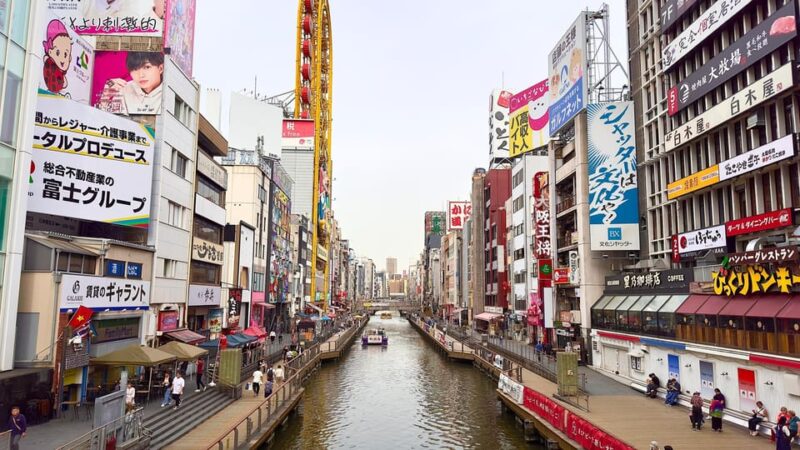 Osaka City Highlights One Day Private Tour - Important Information