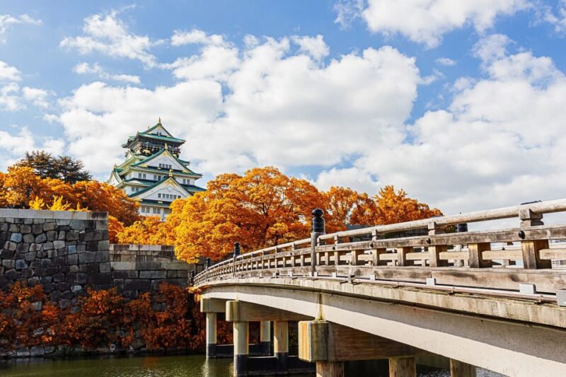 Osaka: Full-Day Private Guided Walking Tour - Participant Information