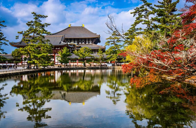 Osaka/Kyoto: Private Kyoto and Nara Day Trip - Highlights and Features