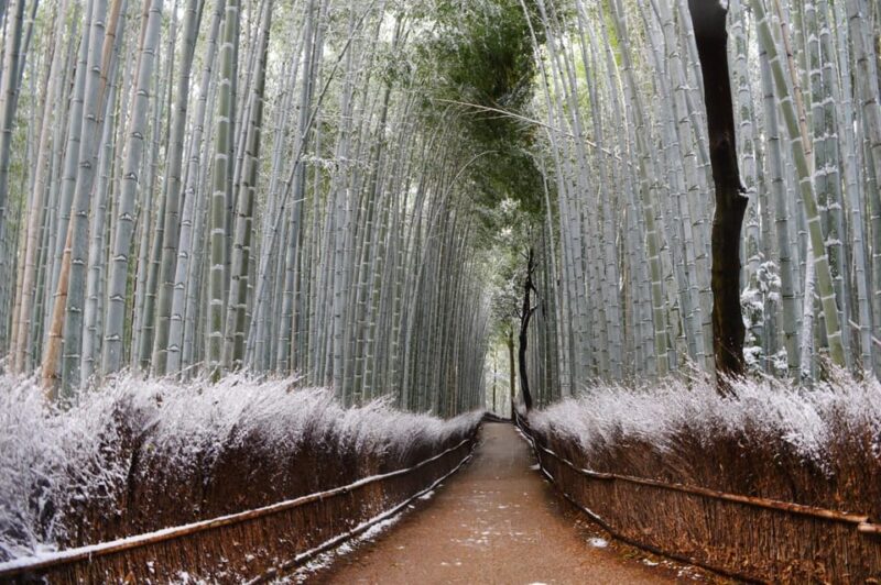 Osaka: Kyoto Scenic Day & Night Bus Tour W/ Kobe Beef - Meeting Time and Location