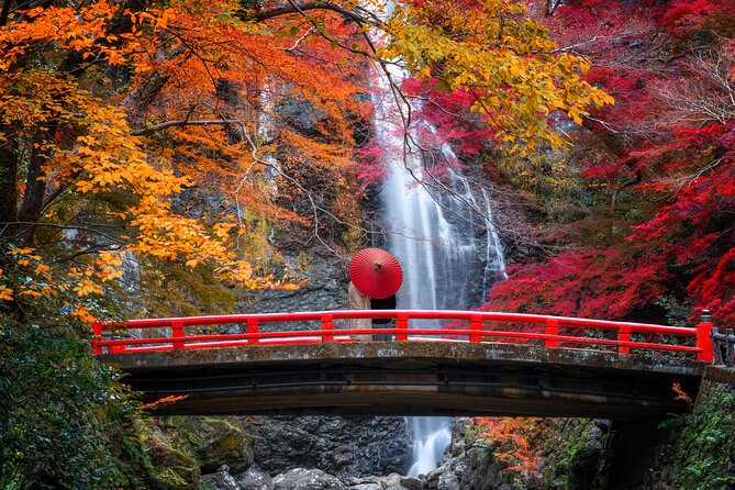 Osaka Private Customizable Half Day Tour - Pricing and Booking
