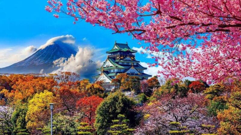 Osaka: Private Full-Day Tour With English-Speaking Driver - Transportation and Accessibility