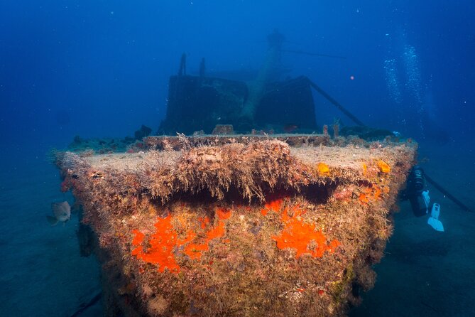 PADI Open Water Course in Playa De Las Americas - Course Curriculum and Duration