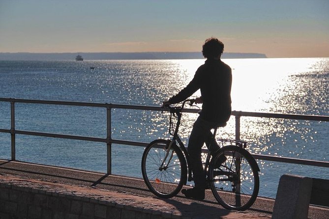 Palma De Mallorca Shore Excursion Bike Tour (Transfer Included) - Customer Reviews and Experience