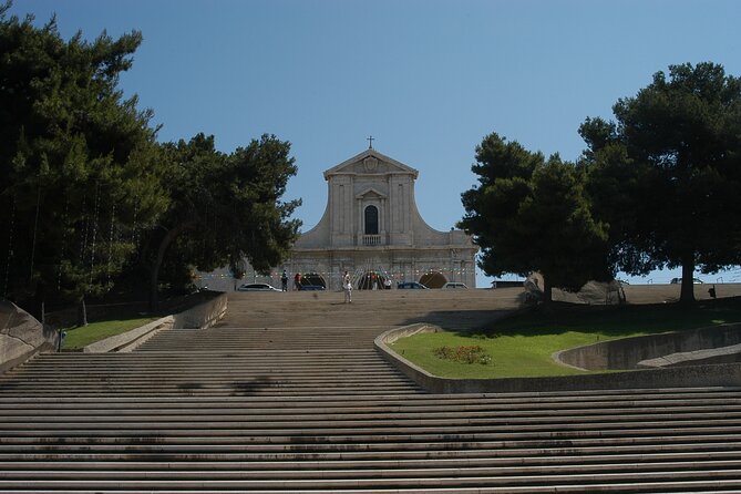 Panoramic and Old Cagliari Tour - The Unique Flora and Fauna: Spotting Pink Flamingos