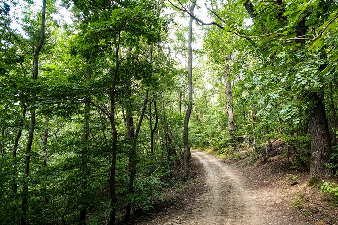 Panoramic Hike Around Budapest - What to Expect on the Trail