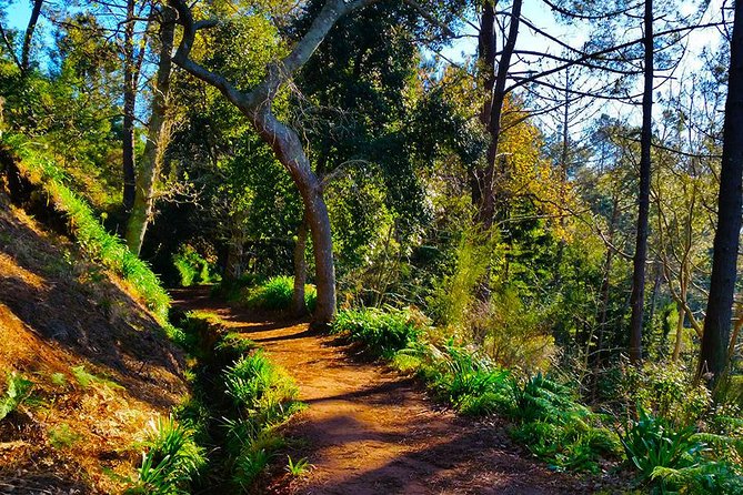 Paradise Valley - Levada Walk - Meeting Points and Pickup Information