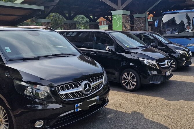 Paris Private City Tour Experience - Transportation Availability