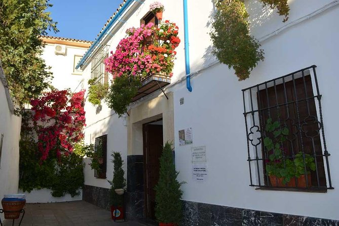 Patios & Perfums of Cordoba Festival Tour - Accessibility and Transportation