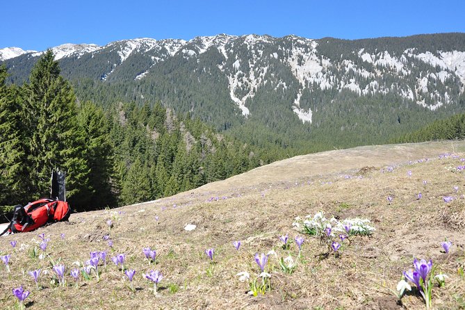 Piatra Craiului National Park Private Hiking Tour From Brasov - Additional Activites and Experiences