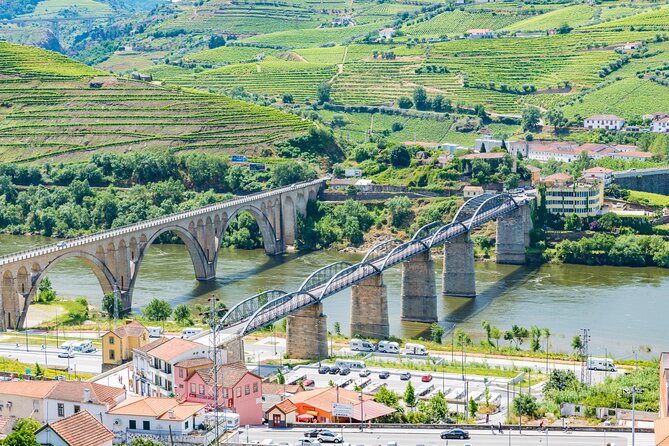 Porto Douro Valley Full-Day Wine Tasting, River Cruise and Lunch - Wine Tastings