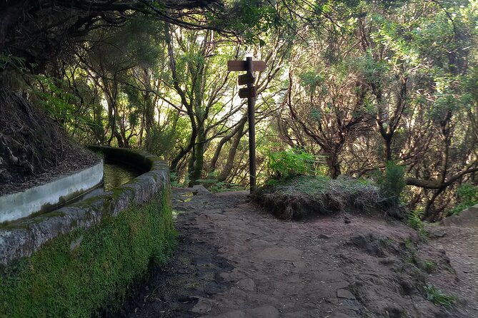 PR6 25 Fountains/Risco Levada Walk With Local Guide - Accessibility Considerations