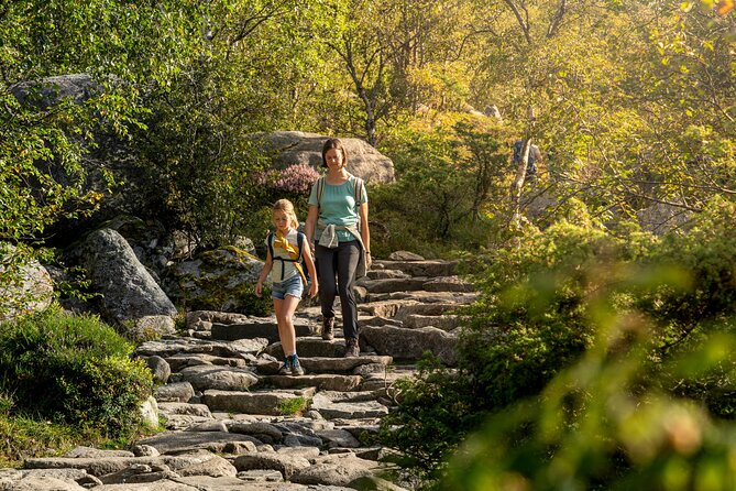 Preikestolen | Pulpit Rock - Hike With a Norwegian Guide - Group Size and Dynamics