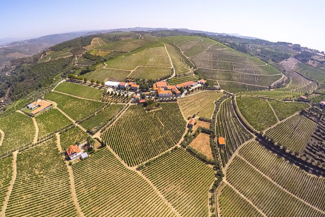 Premium Private Douro Tour: 3 Wineries With Tastings & Lunch - The Culinary Delight: 3-Course Meal and Wine Pairing