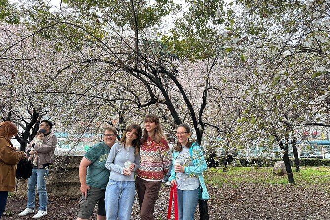 PRIVATE 6hr, Food Tour From Osaka Castle, Kuromon, Dotonbori. - Accessibility and Additional Information
