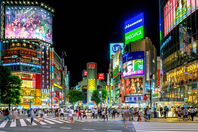 Private Airport Depature Transfer Tokyo to Narita Airport(NRT) - Additional Information