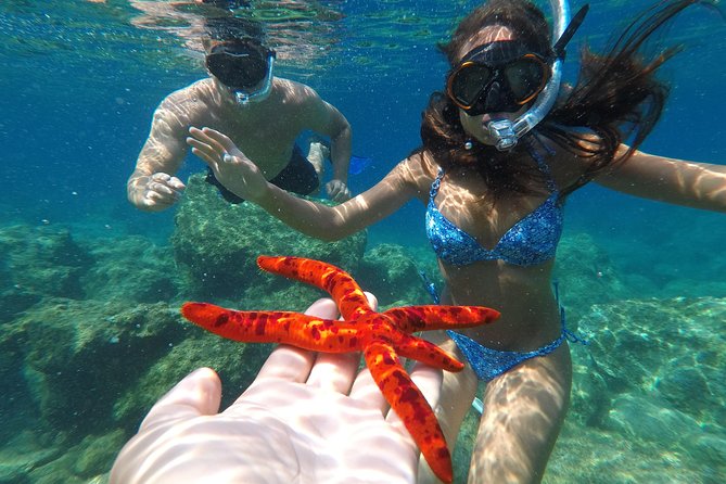 Private Boat Trip to Kas Islands Including BBQ Lunch - Swimming and Snorkeling at Meis (Kastellorizo) Islands