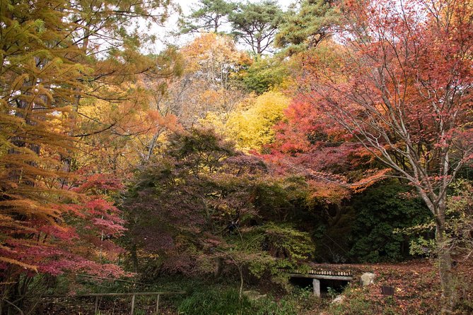 Private Car Day Trip to the Kobe Mountains, Gardens and Hot Springs From Osaka - Exploring Mount Rokko