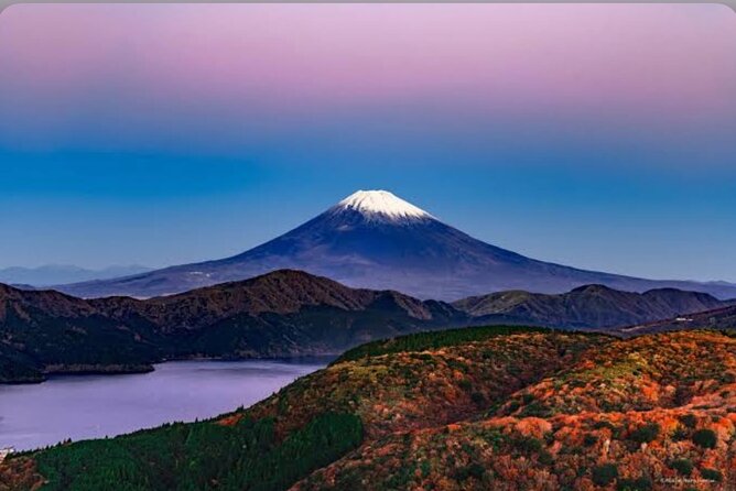 Private Car for Mt. Fuji 5th Station and More (Customizable) - Dietary Accommodations