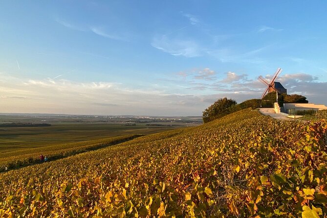 Private Champagne Tour: Iconic & Boutique Champagne+ Restaurant - Customer Testimonials