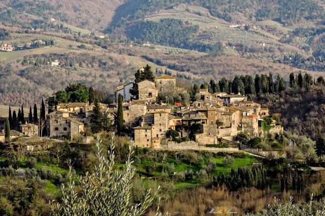 Private Chianti Wine Tour Leaving From Florence - Visiting Montefioralle