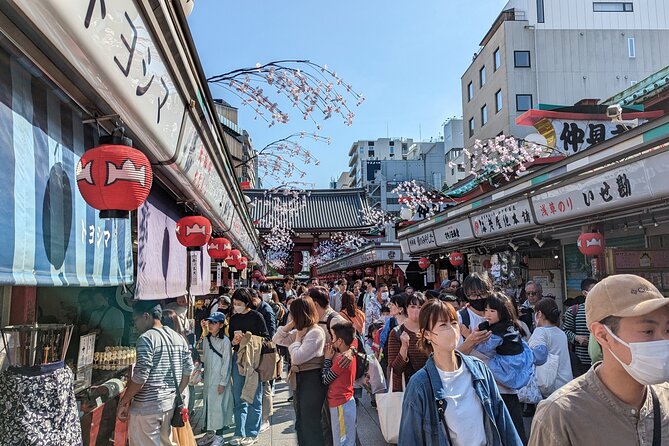 Private Day Tour in Tokyo With a Native English Speaker - Pickup and Accessibility