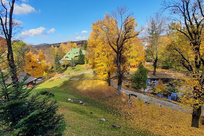 Private Day Tour in Transylvania, Peles and Bran Castles From Brasov - Traveler Testimonials