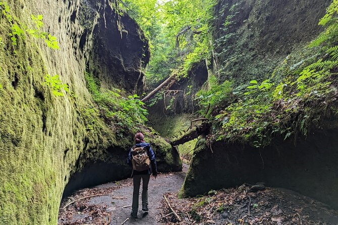 Private Day Trip of Lake Shikotsu and Moss Canyon - Transportation and Meeting Details