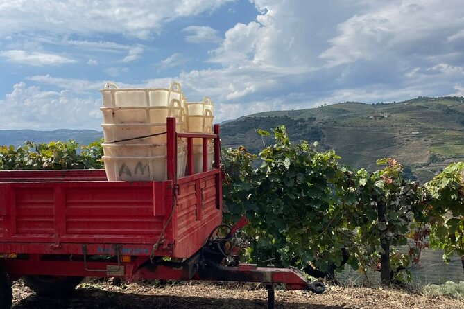 Private Douro 4x4 Adventure From Porto - Convenient Pickup and Drop-off Options