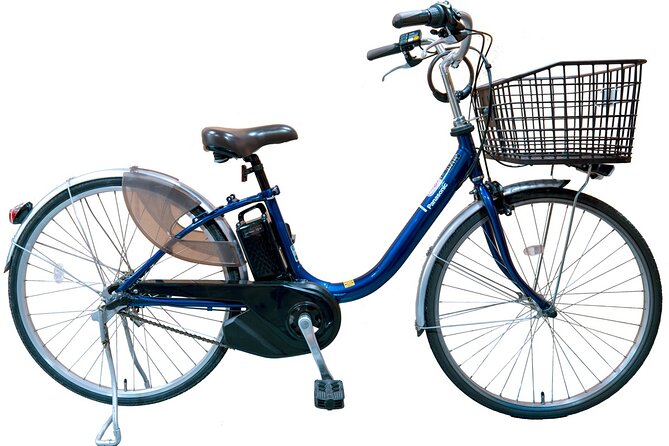 Private Ebike Tour Exploring Fushimi With Torii Red Gate Ride - Experiencing the Thrill of Ebike Riding