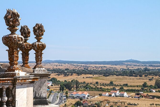 Private Évora Tour - Megaliths, Historical Center and Cork Region - Taking in the Cork Region