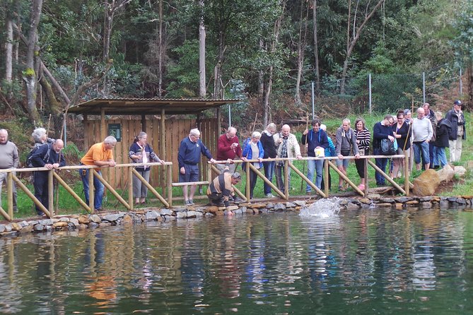 Private Full Day 4X4 Experience: East or West - Traveler Reviews