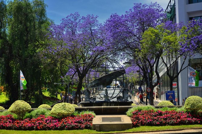 Private Funchal City Tour by Tukxi - Accessibility and Restrictions