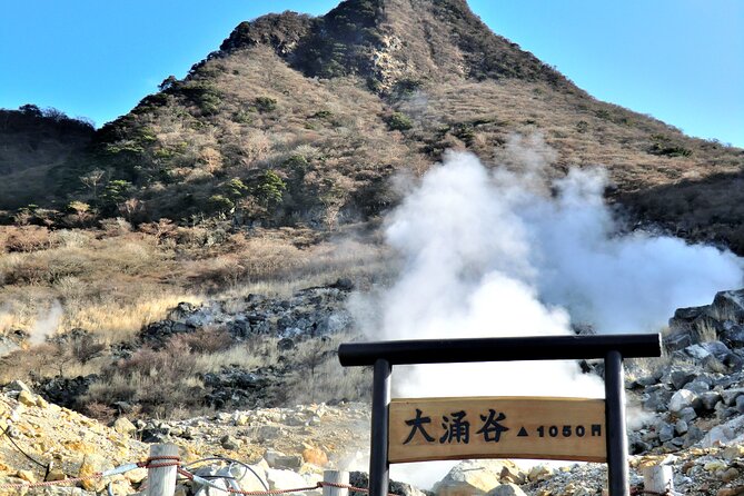 Private Hakone Kimono Costume Photo Tour With Hotel Pick-Up - Reviews and Feedback