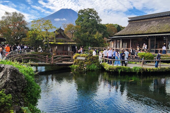 Private Hakone Mt Fuji Tour With English Speaking Driver - Ropeway and Cruise Experiences