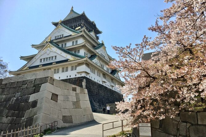 Private Half-Day Guided Tour of Osaka Castle - Reviews and Feedback