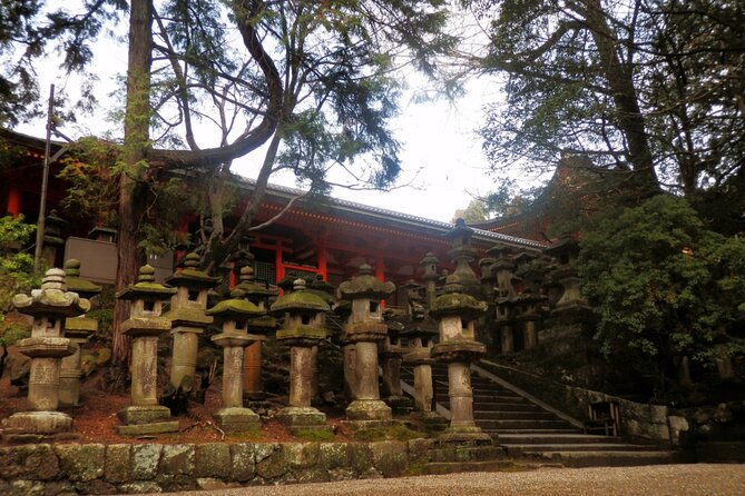 Private Journey in Nara's Historical Wonder - Indulge in Naras Culinary Delights