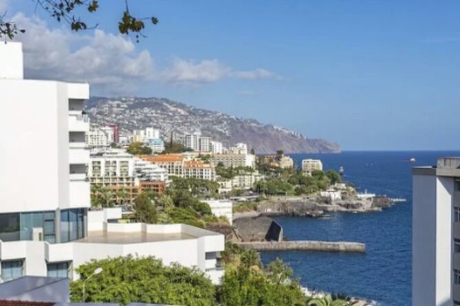 Private: Maderia Island Tour & Famous Monte Toboggan Ride - Traveler Experiences and Feedback