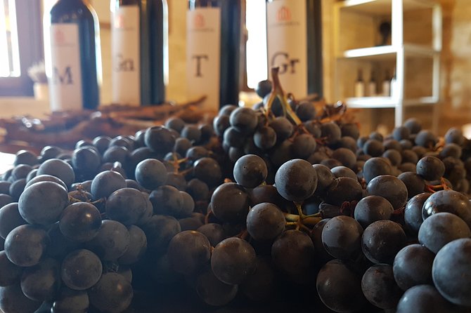 Private Rioja Wine Tasting Tour From San Sebastian - Transportation and Logistics
