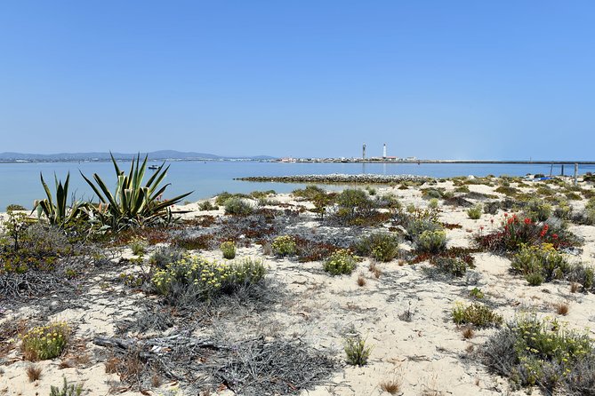 Private Sightseeing Boat Tour in Ria Formosa at Olhão - Accessibility and Additional Information