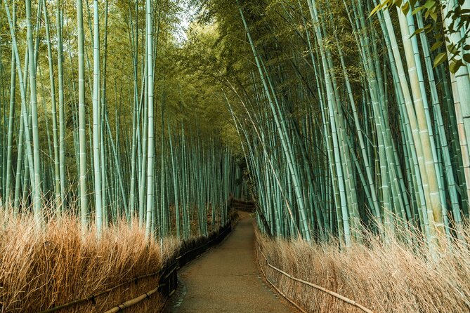 Private Sightseeing Tour Visit in Kyoto With Transfer Included - Highlights of the Kyoto Tour