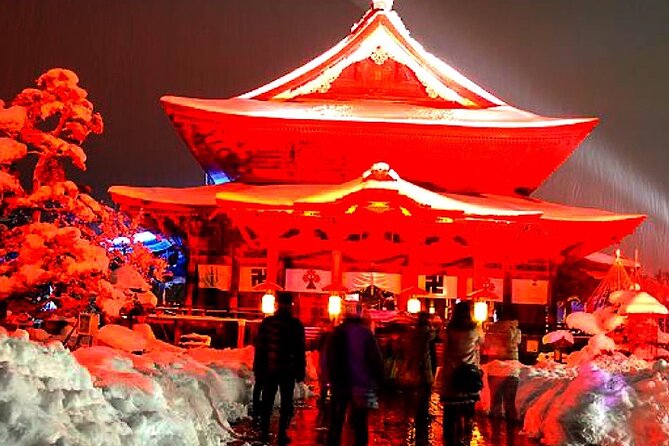 Private Snow Monkeys Park Day Trip From Tokyo or Nagano - Highlights of the Snow Monkeys Park